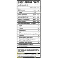 Lemonade - 100 Servings